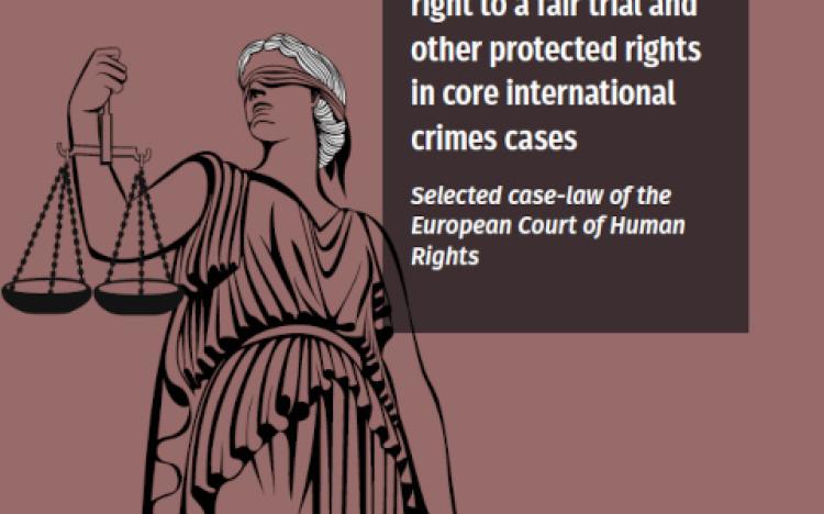 Application of the principle of legality, right to a fair trial and ...